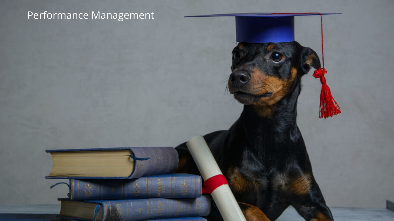 7PFM Performance Management | CIPD Level 7 Assignments