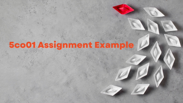 5CO01 Assignment Example | 5CO01 Assignment